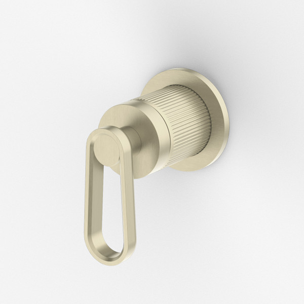 Novas – Frame – FRAIWMLSG – In Wall Mixer with Lever – Satin Gold ...